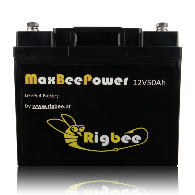 Rigbee Ladestation (Powerbank) mit LiFePo4 Akku 12V 18Ah – RigBee