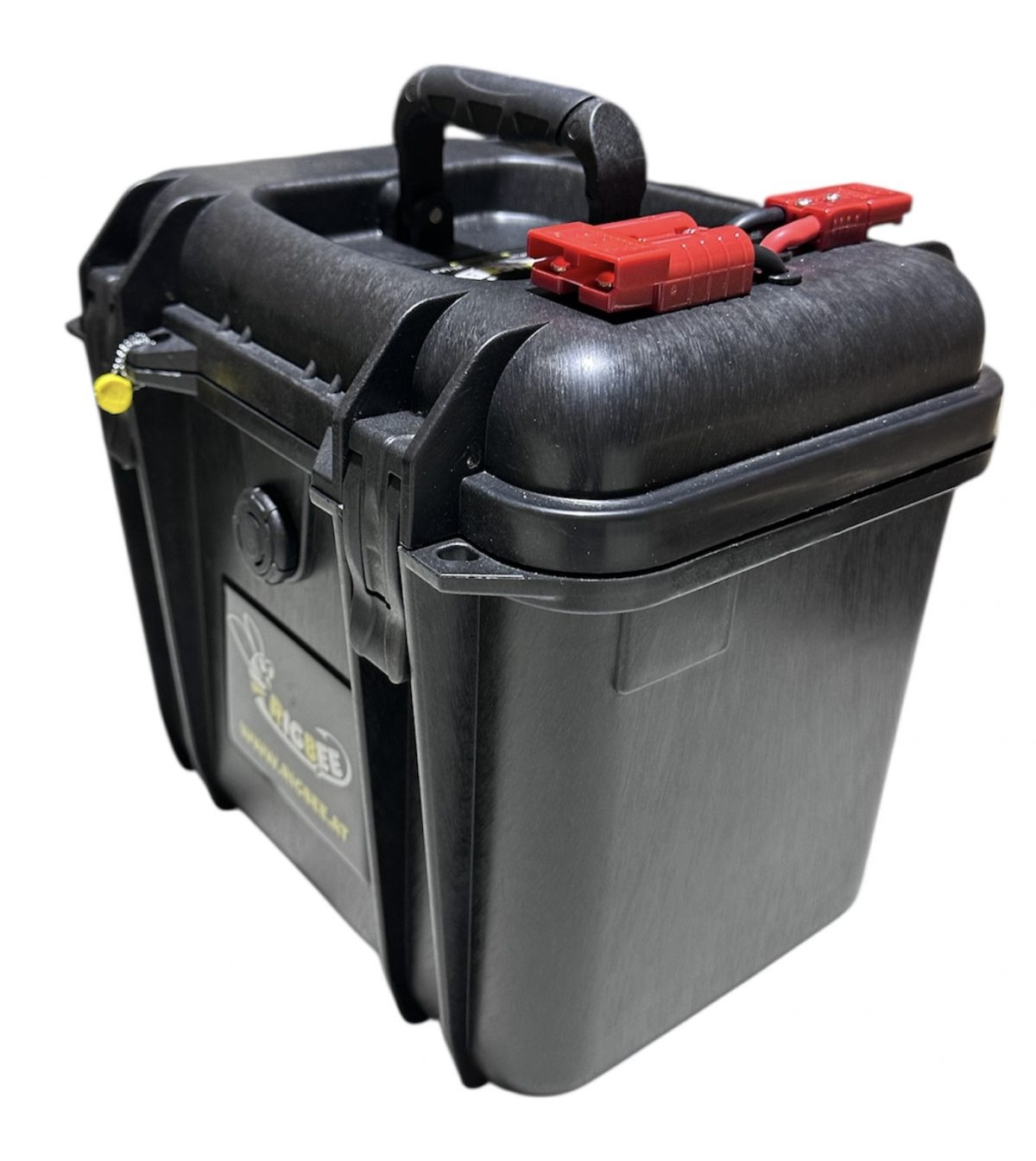 Rigbee Akkubox 12V50Ah LiFePo4 – RigBee